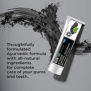 Jagat Activated Charcoal Mint Toothpaste | Fluoride Free Herbal Toothpaste | 100% Natural Teeth Whitening, No Artificial Colors, BPA Free, Gum Cure, Vegan - Pack of 3 (3.5oz X 3)