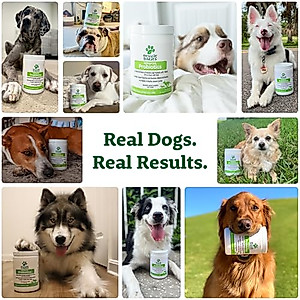 Doggie Dailies Probiotics for Dogs, 225 Soft Chews, Advanced Dog Probiotics with Prebiotics, Promotes Digestive Health, Supports Immune System and Overall Health (Pumpkin)