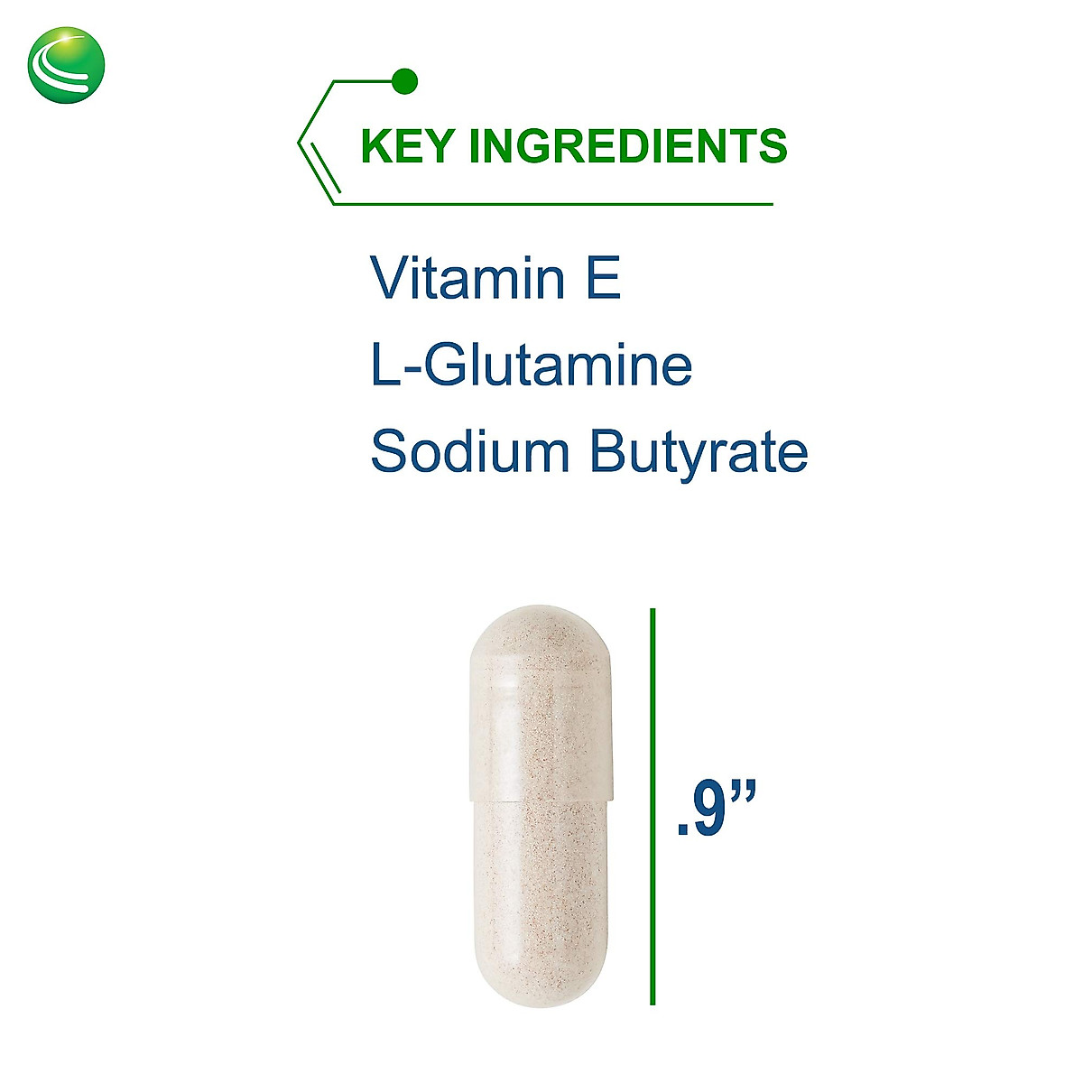 Nutra Biogenesis Intestinal Repair Capsules - Herbal Gut Health Supplement for Women & Men with Sodium Butyrate, Daily - 120 Capsules