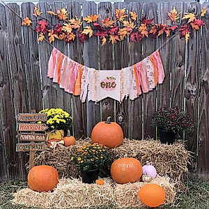 Pumpkin High Chair Banner for 1st Birthday - Our Little Pumpkin Banner, Halloween Birthday Banner, Baby Girl First Birthday Decorations, Fall Party Photo Prop