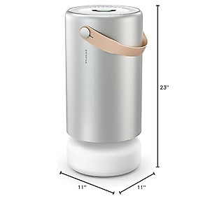 Molekule Air Pro | Air Purifier for Large Rooms up to 1000 sq. ft. w/PECO-HEPA Tri-Power Technology, for Allergens, Smoke, Mold, Bacteria, Viruses & Pollutants for Clean Air - Silver, Alexa-Compatible