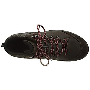 ECCO Men's Hiking Ankle Boot, Brown Licorice Coffee, 10-10.5