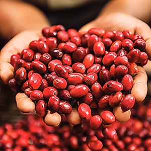 Green Mountain Coffee Roasters, Breakfast Blend Decaf, Ground Coffee, Decaffeinated, Light Roast, Bagged 12oz.