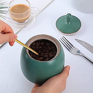 Amoysanli Kitchen Canisters Vintage Ceramic Food Storage Jar with Airtight Lid for Tea, Coffee, Herb, Sugar, Spice, Nuts (Ancient Green)