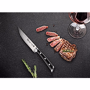 Cangshan TS Series 1020724 Swedish 14C28N Steel Forged 4-Piece Steak Knife Set