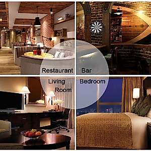 Leools Led Tube Bulb Glass 4W Dimmable Edison T10 Tubular Bulb,E26 Medium Base Filament Lamp 40 Watt Incandescent Bulb Equivalent 2700K Warm White,Clear Glass,No Flicker,3 Pack.