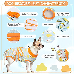 ROZKITCH Dog Recovery Suit After Surgery for Dog Cat, Surgical Onesie Pant for Female Male Dog, Cone e-Collar Alternative Post OP Abdominal Wound Anti Licking Costume After Spay Blue S