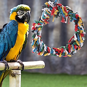 Bird Snuggle Ring-Parrot Cotton Preening Grooming Ropes Colorful Hanging Swing for African Grey Small Cockatoos Conure (Random Color)