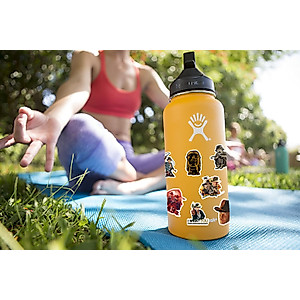 51Pcs Indiana Jones Raiders of The Lost Ark Stickers Pack | Classic Movie Vinyl Waterproof Stickers for Water Bottle,Skateboard,Laptop,Phone,Car Decal Stickers for Adults Teens Kids