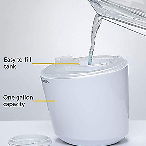 Safety 1st Stay Clean Humidifier, Ultrasonic Mist, One Gallon Easy to Fill Tank, LED Light, and Filter Free