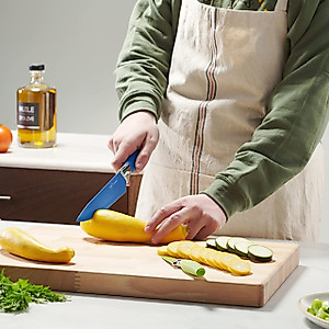 Carbon Knife Set with Block – 6-Piece Never-Dull Kitchen Knife Set – Meat, Veggie, Bread Knife Set – Nonstick Chef Knife Cooking Knives for Kitchen – Precise-Slice Carbon Steel by Chef Essential