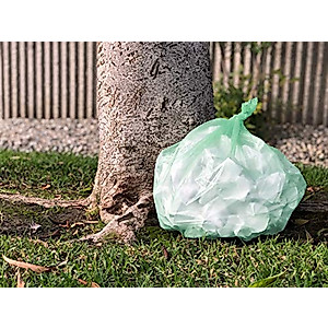 Reli. Compostable 6-8 Gallon Trash Bags | 100 Count | ASTM D6400 | Green | Eco-Friendly | For Compost