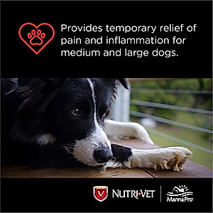 Nutri-Vet Aspirin for Dogs | Medium to Large Dogs | 300mg | 75 count