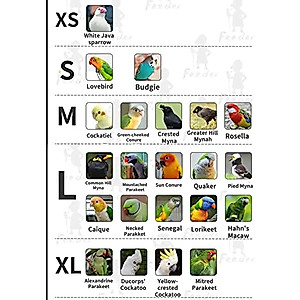 Bird Flight Suits Diapers, Parrot Flight Suits Diapers for Rosellas, Cockatiels Flight Suits, Parrot Clothes, Bird Training Nappy Suit Liners Clothes (Medium)