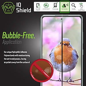 IQShield Screen Protector Compatible with Samsung Galaxy S20 FE (6.5 inch, Fan Edition)(2-Pack) (Case Friendly) Anti-Bubble Clear TPU Film