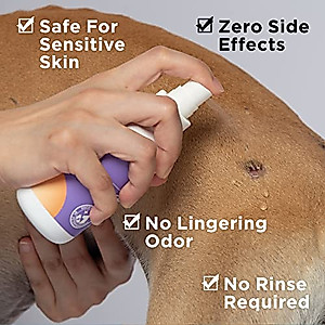 HICC GROOM! Hot Spot Treatment and Itch Relief Spray for Dogs & Cats, Rapidly Alleviate Dry Itchy Skin, Skin Allergies, Scratching, Excessive Licking, Wound Wash Spray, 3.4 Fl Oz