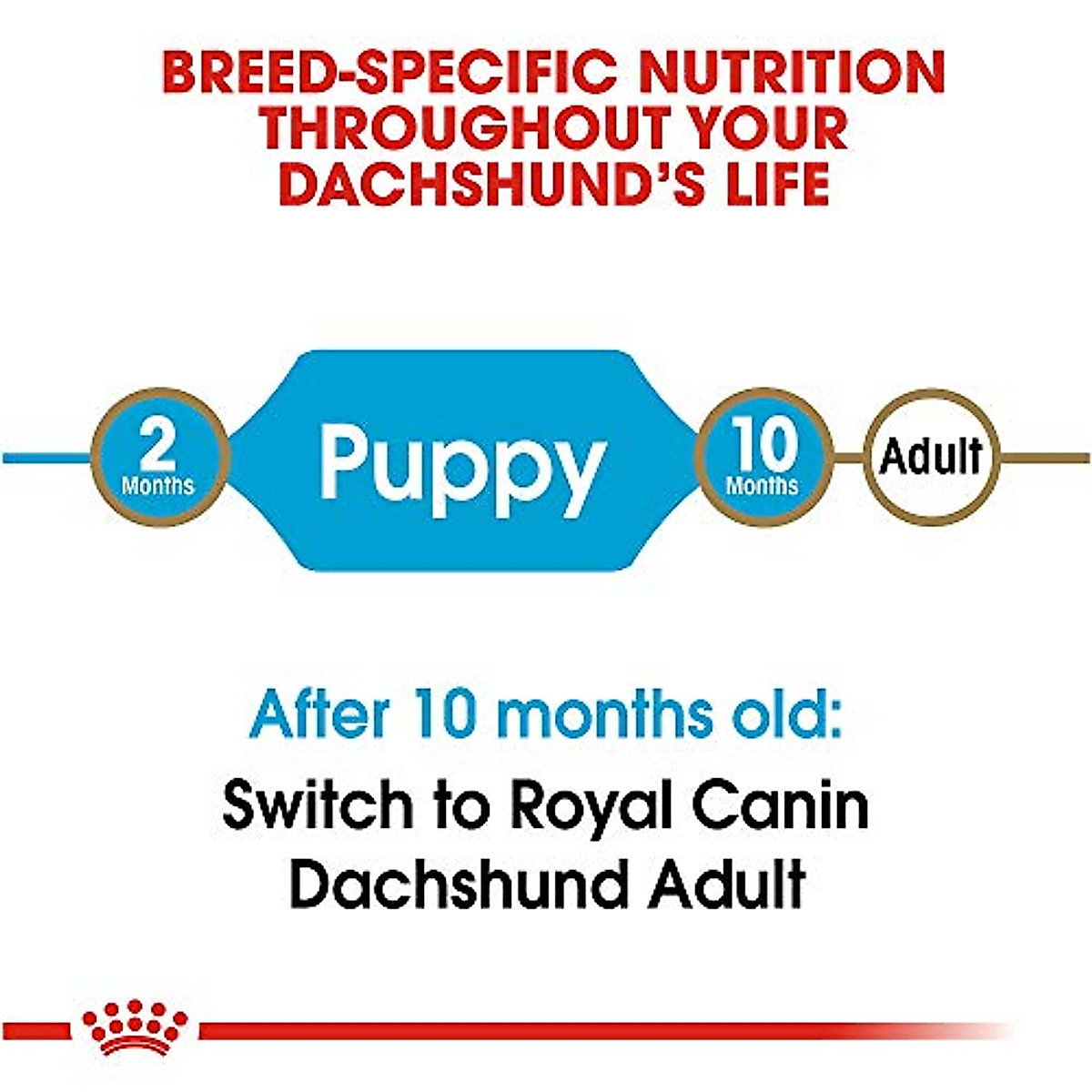Royal Canin Breed Health Nutrition Dachshund Puppy Dry Dog Food, 2.5 lb