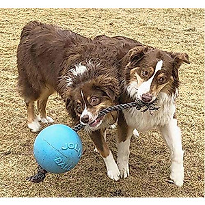 Jolly Pets Romp-n-Roll Rope and Ball Dog Toy, 8 Inches/Large, Blueberry, All Breed Sizes