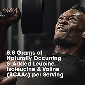 Optimum Nutrition Platinum Hydrowhey Protein Powder, 100% Hydrolyzed Whey Protein Isolate Powder, Flavor: Turbo Chocolate, 40 Servings, 3.61 Pounds (Packaging May Vary)