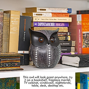 Ornativity Black Owl Statue Figurine - Animal Sculpture Home Decoration for Bedroom Living Room Kitchen Office Bathroom House Decor Figurines 6"