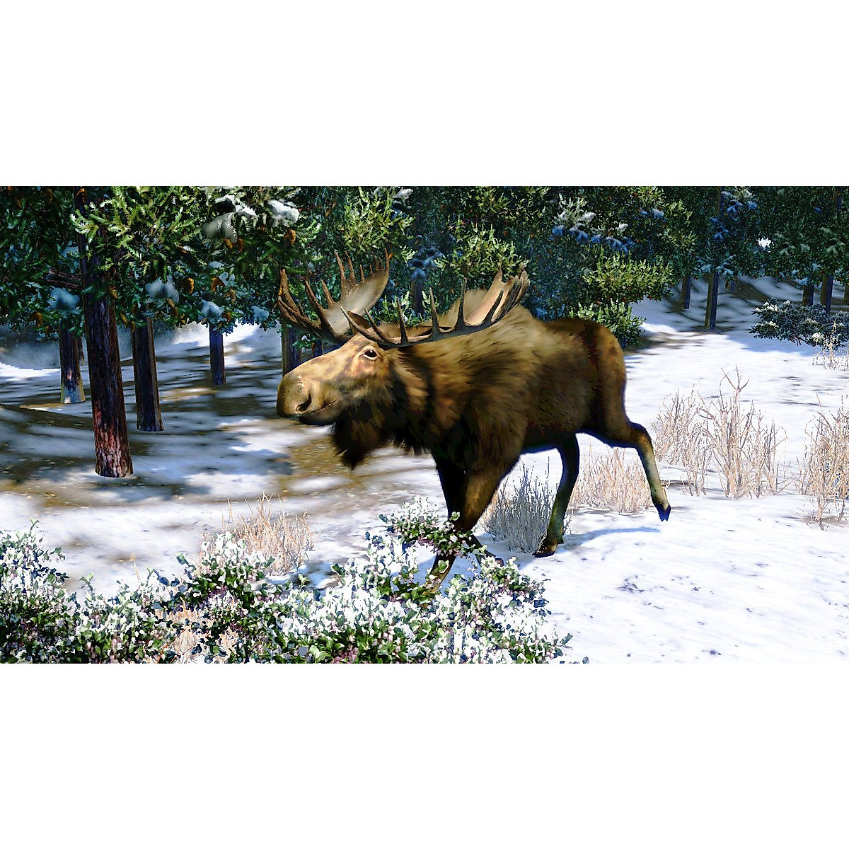 Cabela's North American Adventures 2011 - Sony PSP