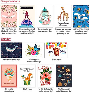 Fresh & Lucky 40 Greeting Cards Assortment Box all Occasion With White Envelopes - 4" x 6" Folded Thick Cards With Colorful, Funny Unique Designs