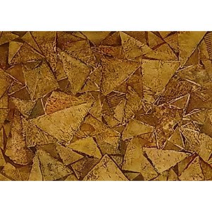 The Triangle Field