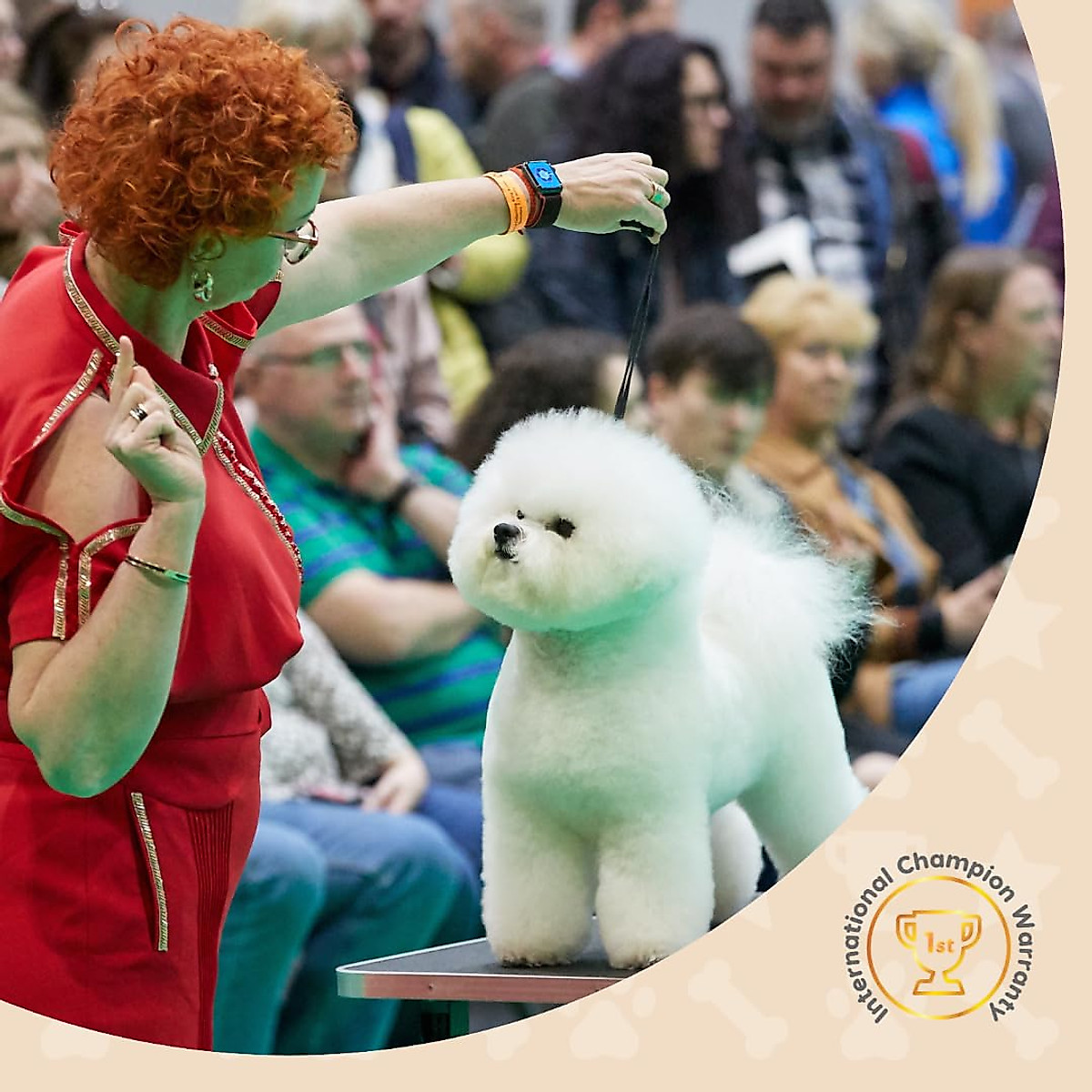 Washable Pee Pads for Dogs and Cats - Reusable Puppy Pads for Training, Super Waterproof Mat for Dog Play, Anti Slip Pad for Crate Indoor, 31.5 x 55.12 inch, 1pcs, Puppies