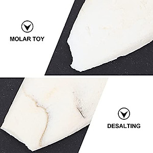 EXCEART 30pcs Bird Cuttlebone Natural Cuddle Bone Bird Beak Stone Beak Grinder Parrot Chew Toys Molar Toy for Parakeets Cockatiel Macaw