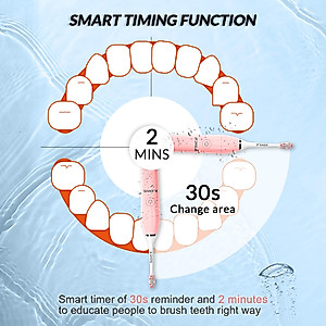 DIKLA Sonic Electric Toothbrush for Adults Dissolve Plaque on Teeth, Vibrating Toothbrush 4 Modes with Smart Timer 44,000 VPM Motor Whitening Rechargeable Cordless Fast Charge(Pink)