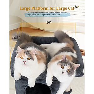 Aechonow Cat Tree for Large Cat, 19 * 16.5In Large Cat Perch, Adult Cat Tower for Indoor Cats with 24In Long Scratching Post, 2 Cozy Cat Condo House for Adult & Fat Cats, Dark Gray