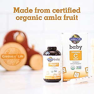Garden of Life Baby Vitamin C Drops for Infants and Toddlers, Organic Whole Food Liquid Vitamin C 45mg Immune Support for Babies from Amla Fruit, Citrus Flavor, Vegan & Gluten Free, 56 mL (1.9 fl oz)