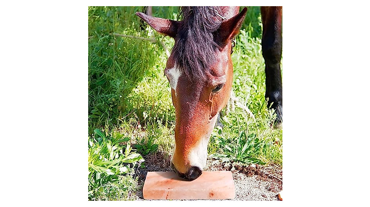Fabbay 8 Pcs Animal Lick Salt Bulk Himalayan Salt Block Pink Salt Lick ...