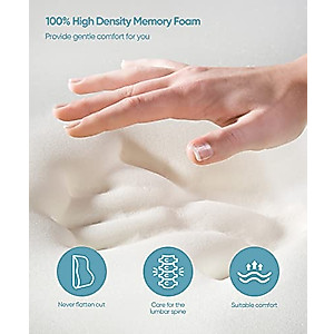 Tsumbay Lumbar Support Pillow Memory Foam Back Cushion Ergonomic Backrest for Back Pain Relief with Breathable 3D Mesh and Adjustable Belts, for Office Chair, Car Seat, Gaming Chair and Wheelchair