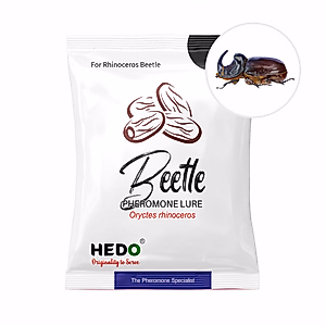 HEDO Beetle Lure Pack of 10| Pheromone Lure for Rhinoceros Beetle (oryctes Rhinoceros) for Coconut & Palm Tree