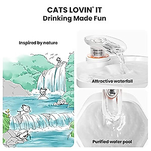 CAT CARE Cat Water Fountain-84oz/2.5L Ultra Quiet Pet Water Fountain, Automatic Dog Water Bowl Dispenser with Ultra-Filtration Tech, Removes Various Impurities, Human Grade Drinking Fountain