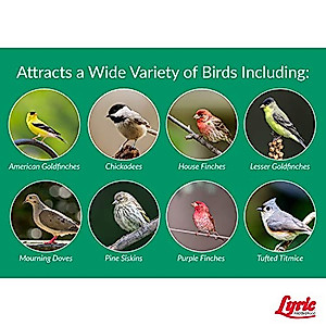 Lyric Nyjer Seed Wild Bird Seed Finch Food - Attracts Goldfinches, House Finches & Purple Finches -10 lb Bag