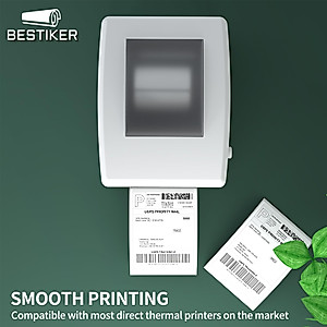 4x6 Direct Thermal Labels 20 Rolls, BESTIKER Thermal Shipping Label Roll of 250 Labels Compatible Zebra 2844 Rollo Thermal Printer 4x6 Label with Perforated Line (1” Core) - Total 5000 Labels