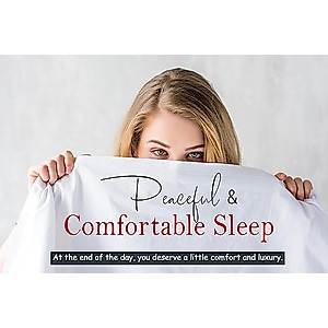 Traumnacht 3Pcs Duvet Cover Set with Zipper Closure & Corner Ties, 800 Thread Count 100% Egyptian Cotton Super Soft Duvet Cover - Super King Size (116" x 98") Inch, Sage Solid