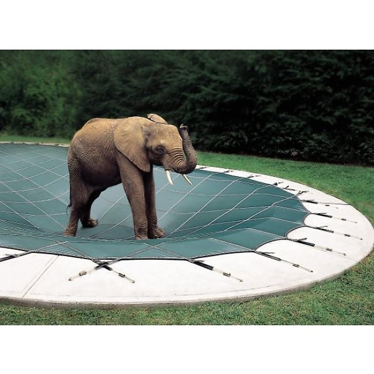 Loop - Loc 16' x 32' Rectangle with 4' 8' Center End Step Loop-Loc II Super Dense Mesh In-Ground Pool Safety Cover, Green