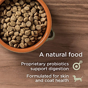 Diamond Naturals Light Real Meat Recipe Premium Dry Dog Food To Help Support Weight Management With Real Pasture Raised Lamb Protein 15Lb, 1772_15_DNL