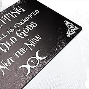 IRISIVITA Metal No Soliciting Sign for House Funny, No Soliciting Violators Will Be Sacrificed to The Old Gods Not The New, Gothic Decor for Bedroom, Goth Room Decor, Halloween Decorations