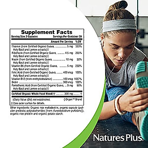 NaturesPlus Source of Life Garden Certified Organic B Complex - 60 Vegan Capsules - Complete Vitamin B Supplement, Energy Booster - Vegetarian, Gluten-Free - 30 Servings