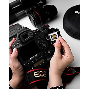 Lexar Professional CFexpress 256GB Type-B Card (LCFX10-256CRBNA)