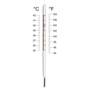 MAGICLULU 1Pc Glass Oral Temperature Adult Free Clinic Armpit Fast Reading Fever Indicator(Single Scale)…