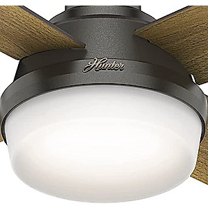 Hunter Fan Company, 59445, 44 inch Dempsey Noble Bronze Low Profile Ceiling Fan with LED Light Kit and Handheld Remote