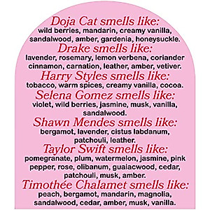 Cool Girl Candles | This Smells Like Evan Peters Scented Candle | All Natural Coconut Soy Wax | The Best Strong Scented Candles for Home Fragrance | Clean Burning | Funny Gifts | 8.5 fl oz