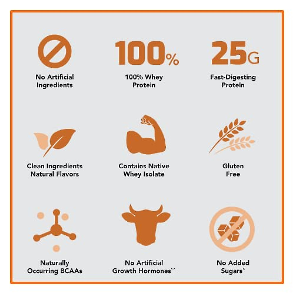 Naturally Flavored Rival Whey Pure Chocolate