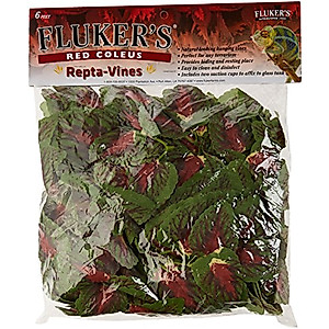 Fluker's Repta Vines for Reptiles and Amphibians Terrariums - Red Coleus