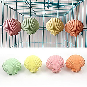 N/ hfjeigbeujfg Bird Toy,Parrot Cage Chewing Toys Shell Shape Squirrel Hamster Calcium Teeth Mouth Grinding Stone Parrot Cage Toy - Random Color